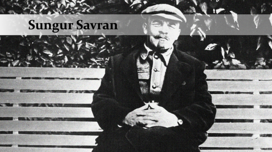 The old mole | redmed.org